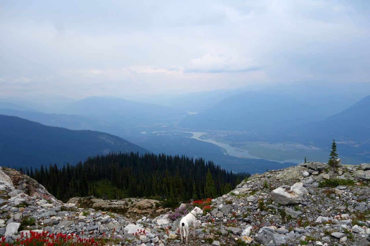 Stoke adventure: Hiking Revelstoke's Mount Begbie - Revelstoke Mountaineer