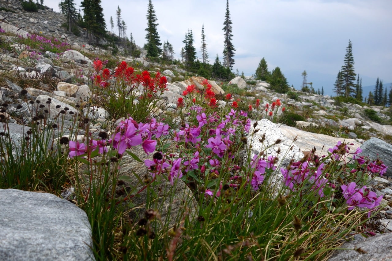 Stoke adventure: Hiking Revelstoke's Mount Begbie – Revelstoke Mountaineer