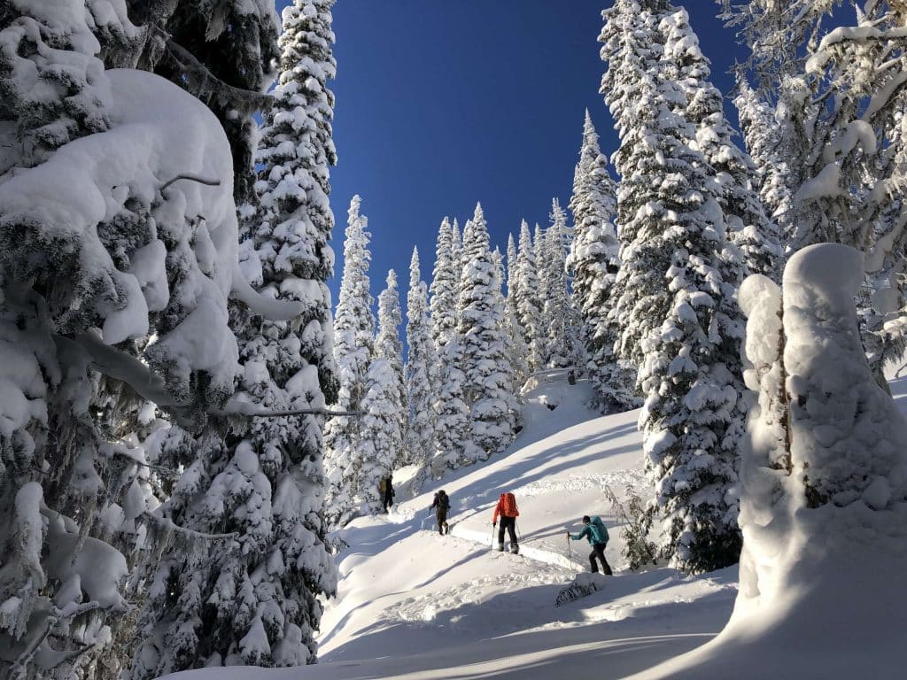 Planning initiatives explore increasingly busy Revelstoke-area ...